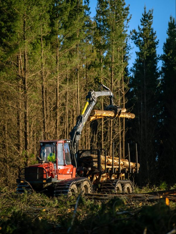 MANGAN LOGGING HAULAGE FORWARDER - Mangan Logging