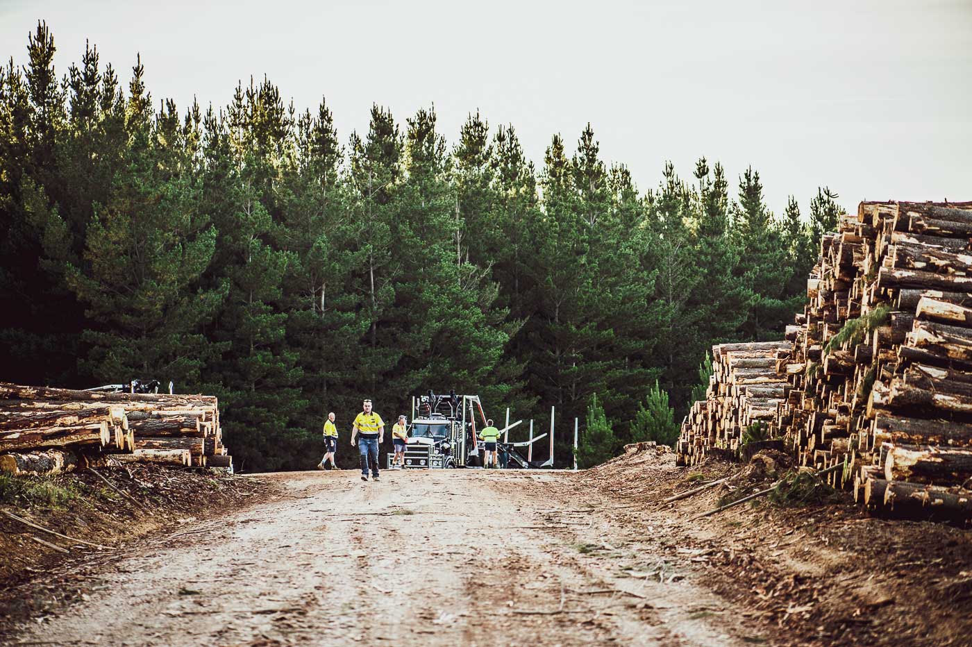 Our Operations - Mangan Logging
